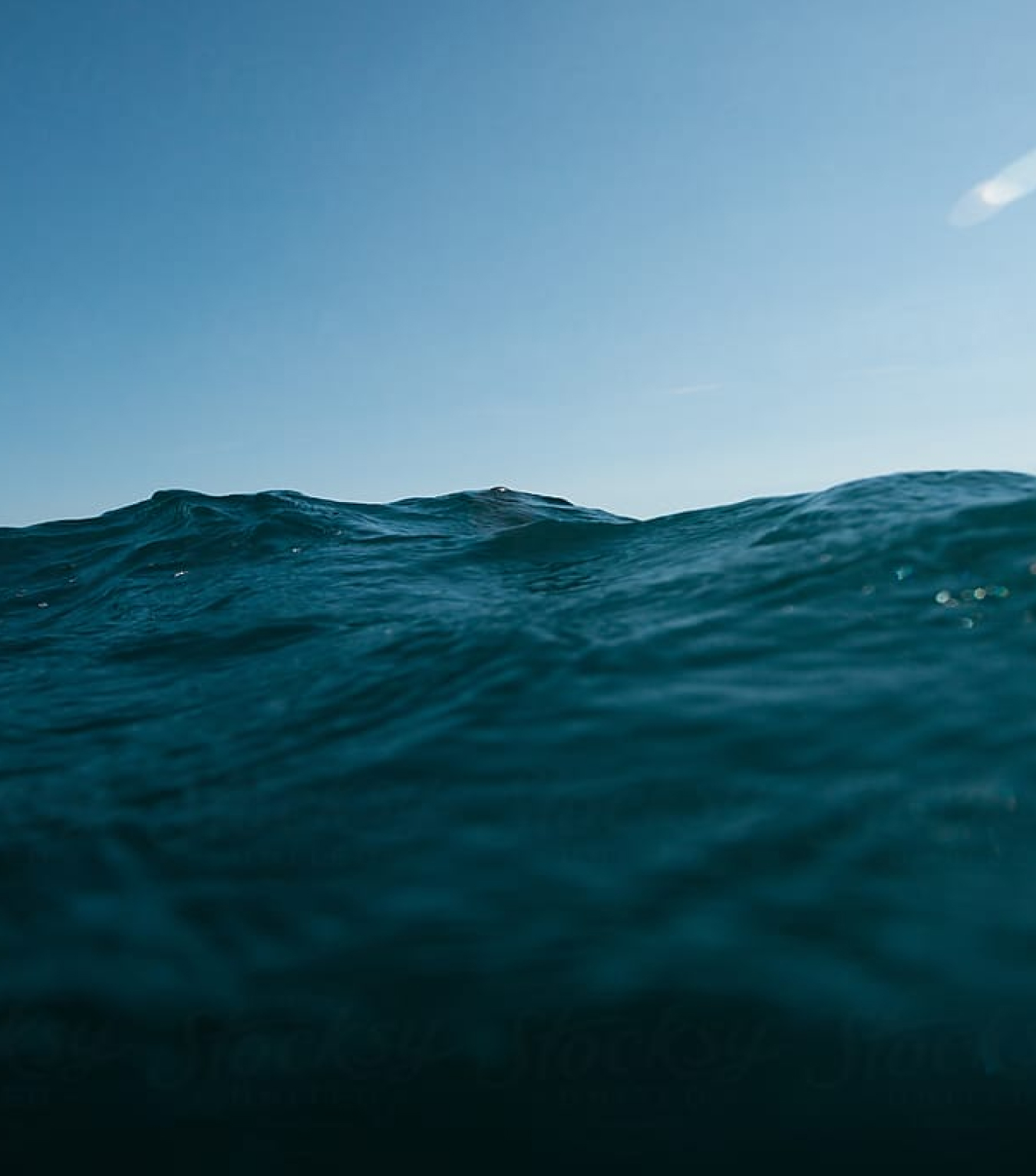 Team | Jaws Ventures